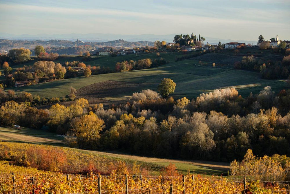 BAVA Barolo Scarrone 2015 Red Wine | Delivery & Gifting